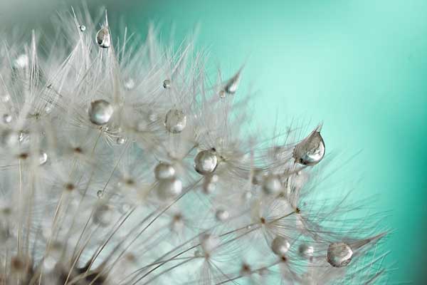 Rose Atkinson - 2nd Sept to 25th September 2009 - RIPLEY ARTS CENTRE