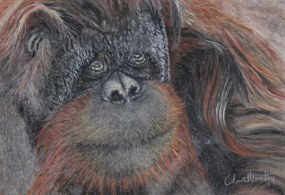 Claire Murthy: 'Nature's Tales' 24th November to 25th January - RIPLEY ...